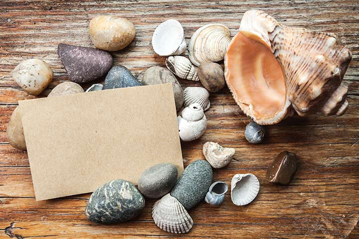 Sea Animal Crafts For Kids: 10 Fun DIY Ocean Projects